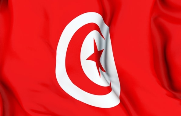 Tunisia frees jailed ex-regime figures - MTV Lebanon