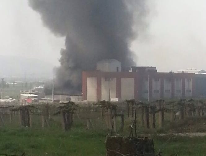 Exclusive to MTV website: A photograph by correspondent Joyce Akiki ...