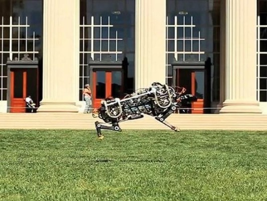 بالصورة: "Robot" على شكل فهد - MTV Lebanon