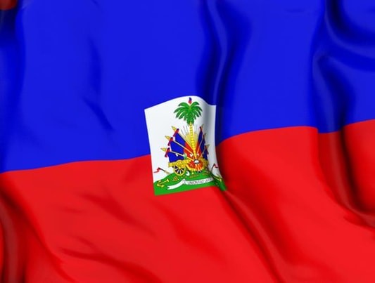 Haiti's Health Minister Florence Duperval Guillaume has been named ...