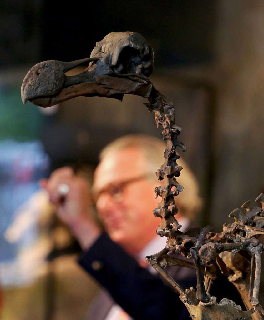 This Skeleton Sold at Auction for $416,300 - MTV Lebanon
