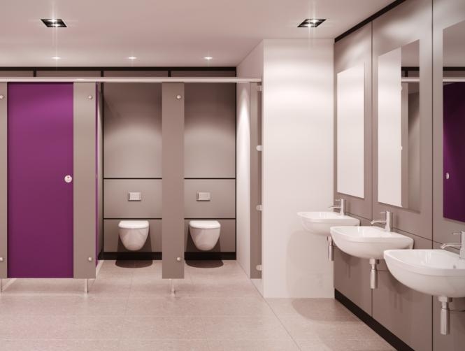The Toilet Cubicle You Should Always Use In Public Bathrooms To Avoid ...