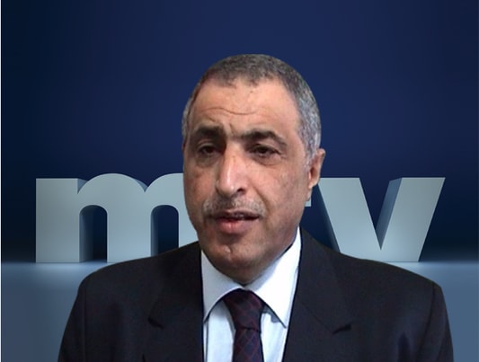 Hashem to MTV: We are for holding parliamentary elections before 2018 ...