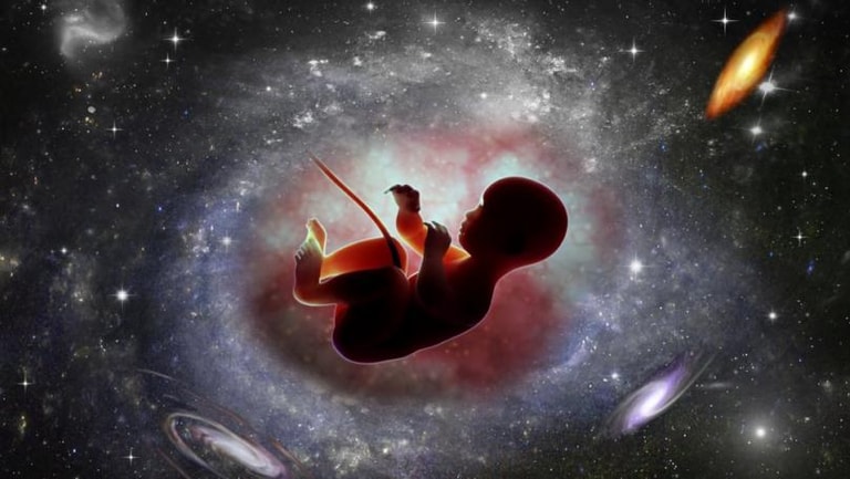 Russia Is Aiming to Have First Baby Born in Space, Scientist Claims ...