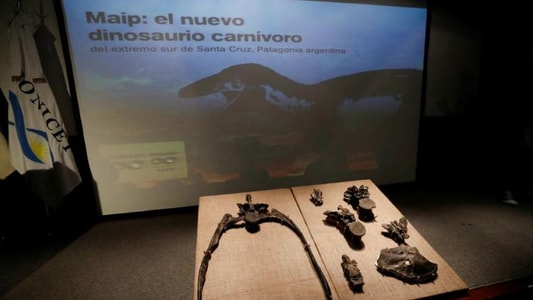 Argentine Scientists Discover Fossil of Largest Raptor Dinosaur - MTV ...
