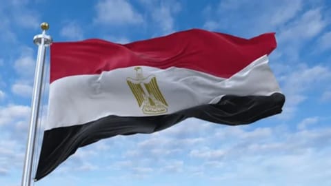 Egyptian Foreign Minister: We support Lebanon’s sovereignty, national ...