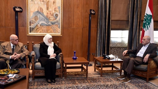 Berri discusses latest developments with Bahia Hariri, former Sidon ...