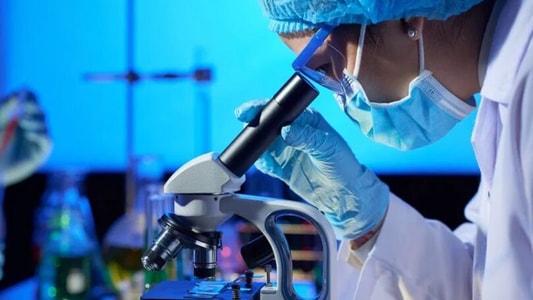 Scientists Report Creation of First Human Synthetic Model Embryos - MTV ...
