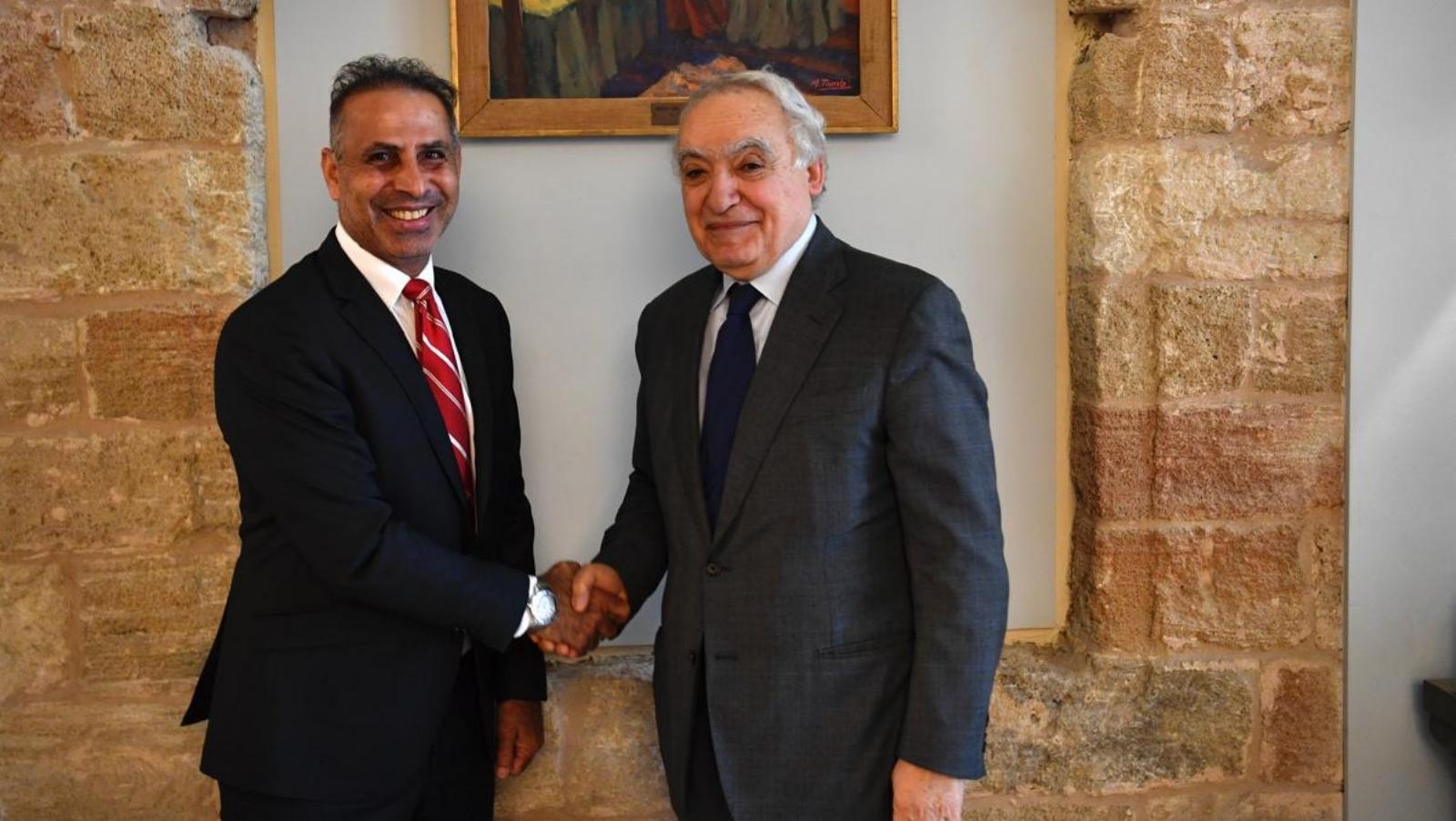 Culture Minister discusses cultural cooperation with Omani Ambassador ...