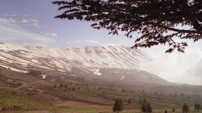 Weather: Heavy rain, snowfall as of 1,700-meter altitude - MTV Lebanon