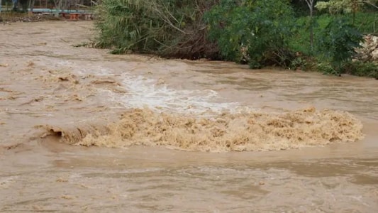 Rising Water Level in Litani River Damages Crops in Bidias, Borj Rahal ...