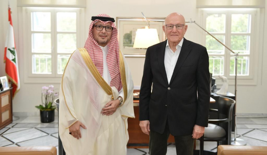 Salam meets Al-Bukhari over latest developments - MTV Lebanon